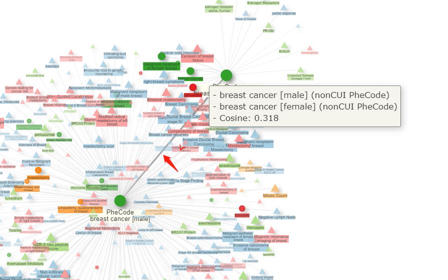Network visualization for NLP and codified concepts • CUInetwork